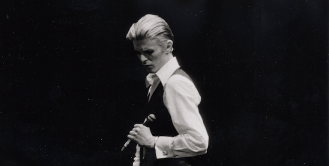 human david bowie